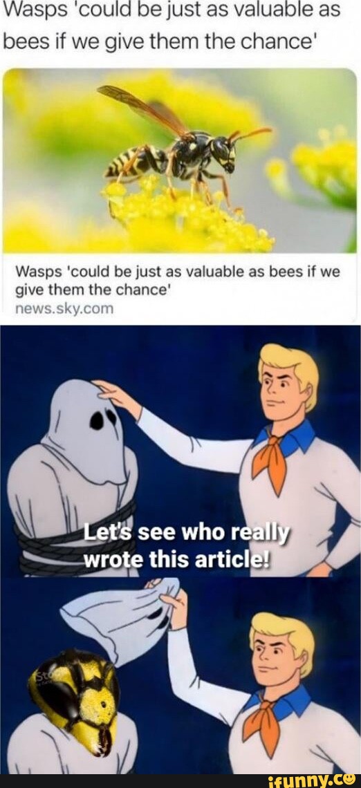 Picture memes gGpEKzRaA by ArchDragon340: 1 comment - iFunny