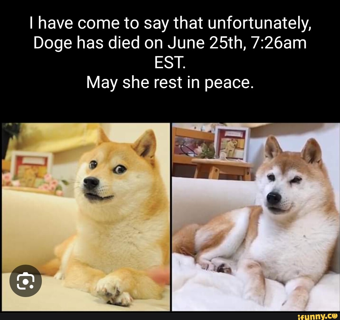 Two tickets for the Barbie movie please - iFunny