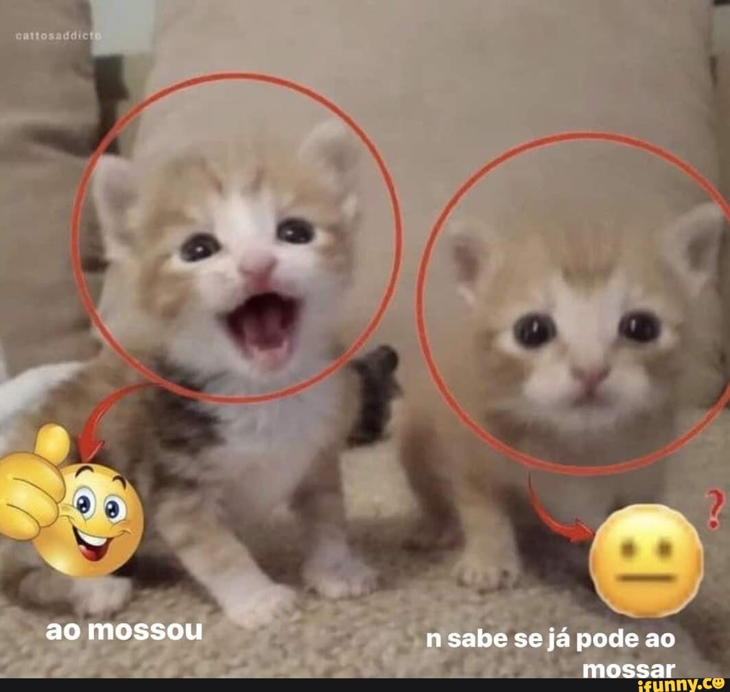 Ao mossou sabe se já pode ao mossar - iFunny Brazil