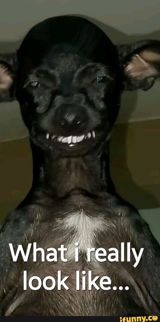 What I really look like... - iFunny