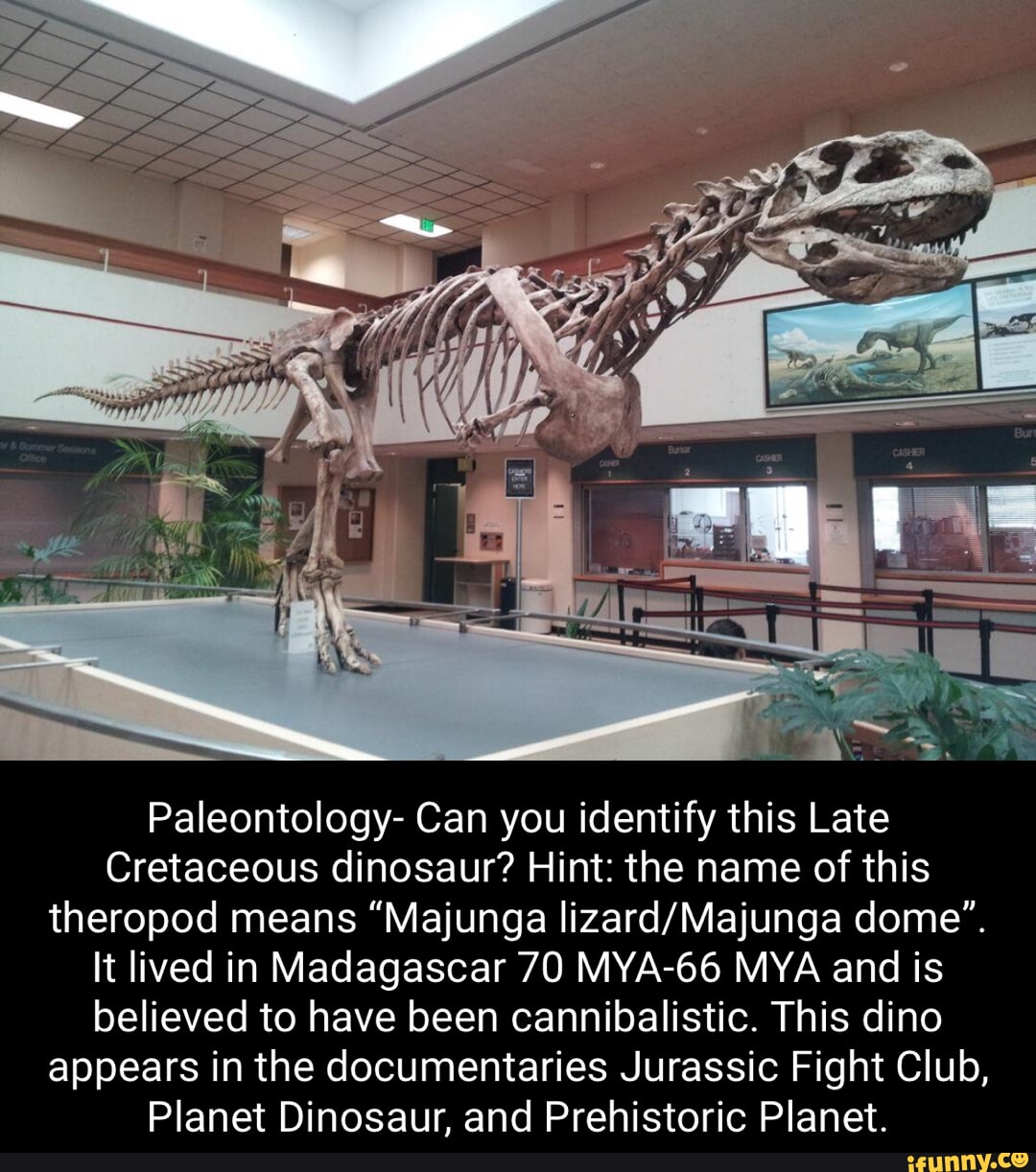 Dinosaur memes. Best Collection of funny Dinosaur pictures on iFunny