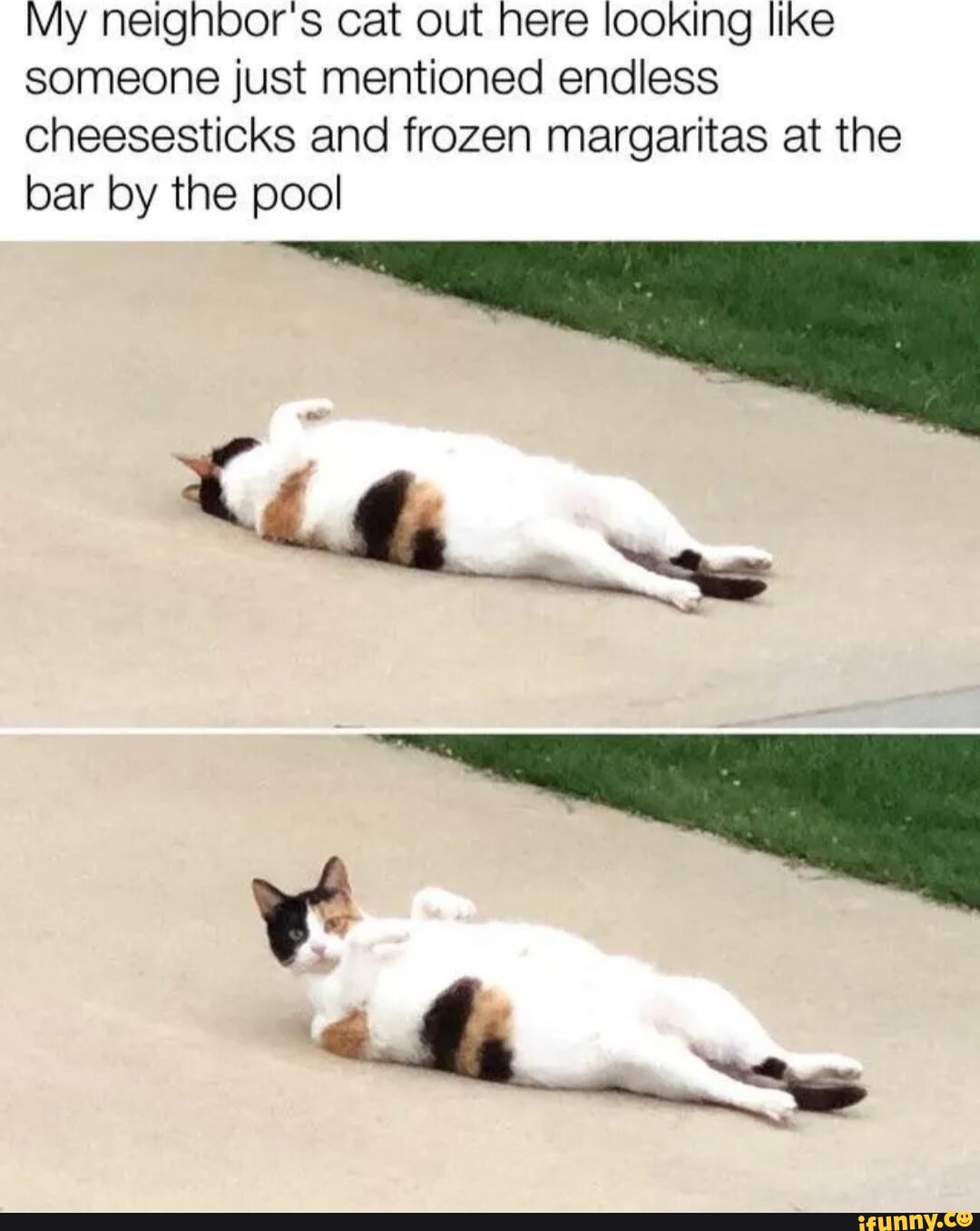 Cheesesticks memes. Best Collection of funny Cheesesticks pictures on ...