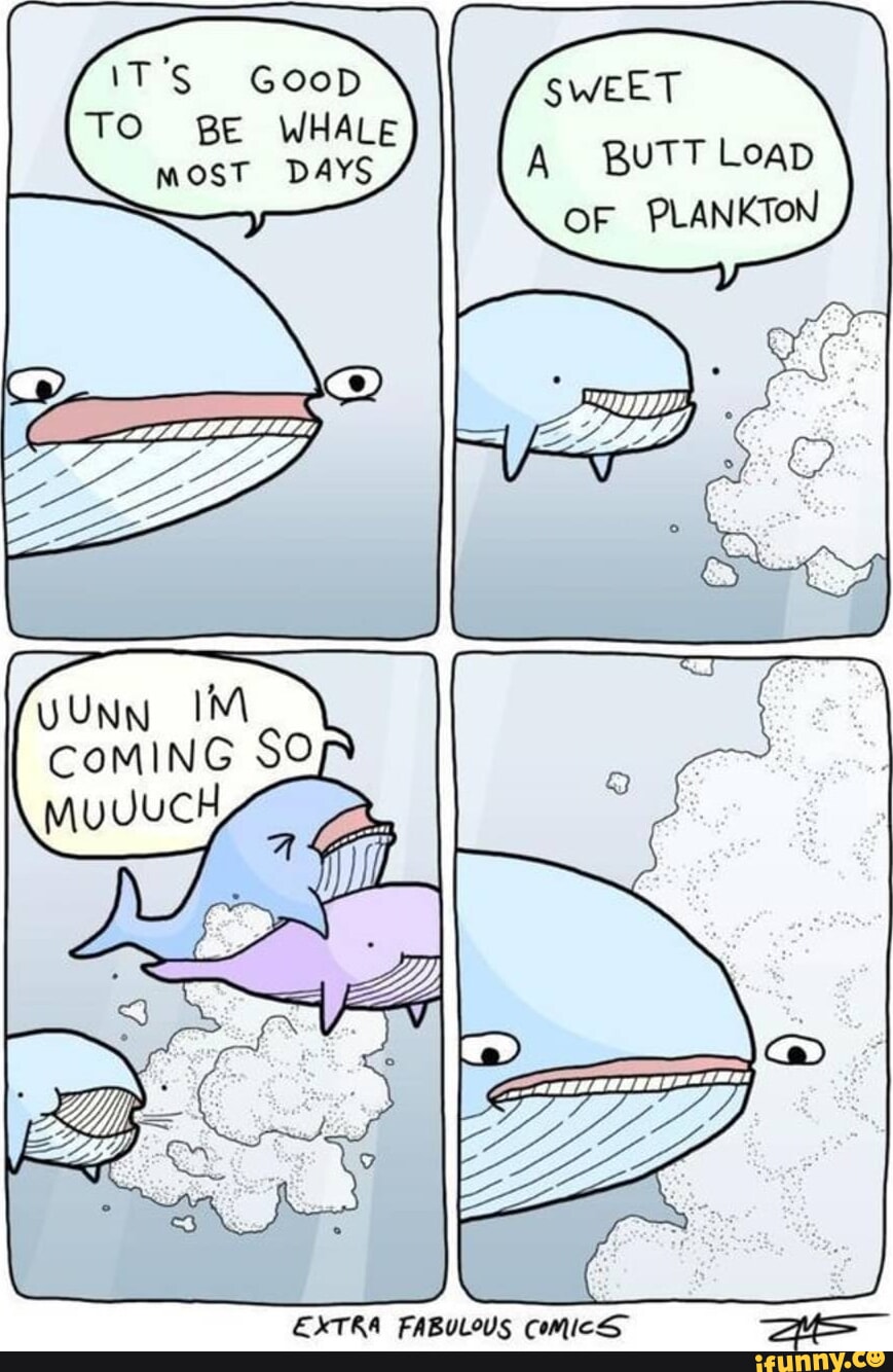 Goop SWEET TO Be WHALE most DAYS BuTT LoaD OF PLANKTON SS EXTRA ...