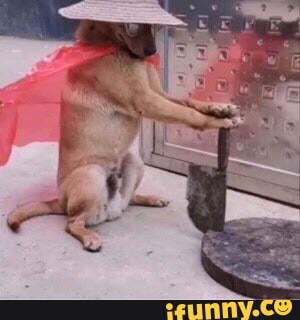 Isshin memes. Best Collection of funny Isshin pictures on iFunny