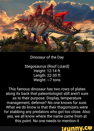 Dinosaur of the Day Stegosaurus (Roof Lizard) Height: 12-14 ft Length ...