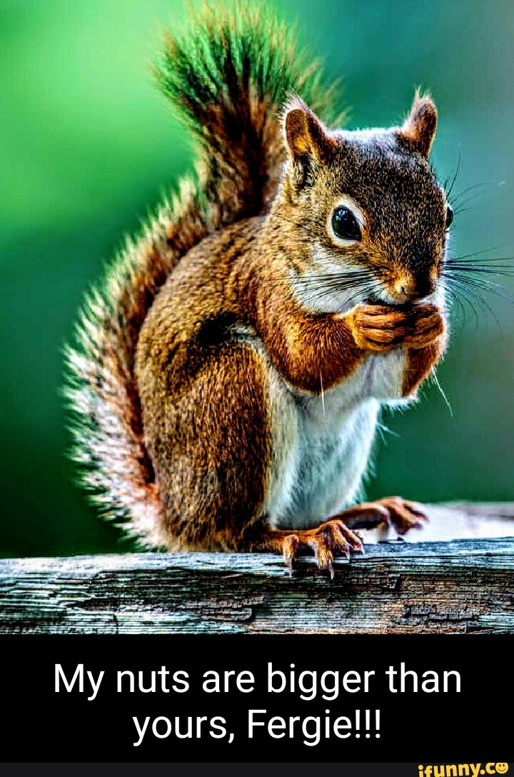 Fergie memes memes. The best memes on iFunny