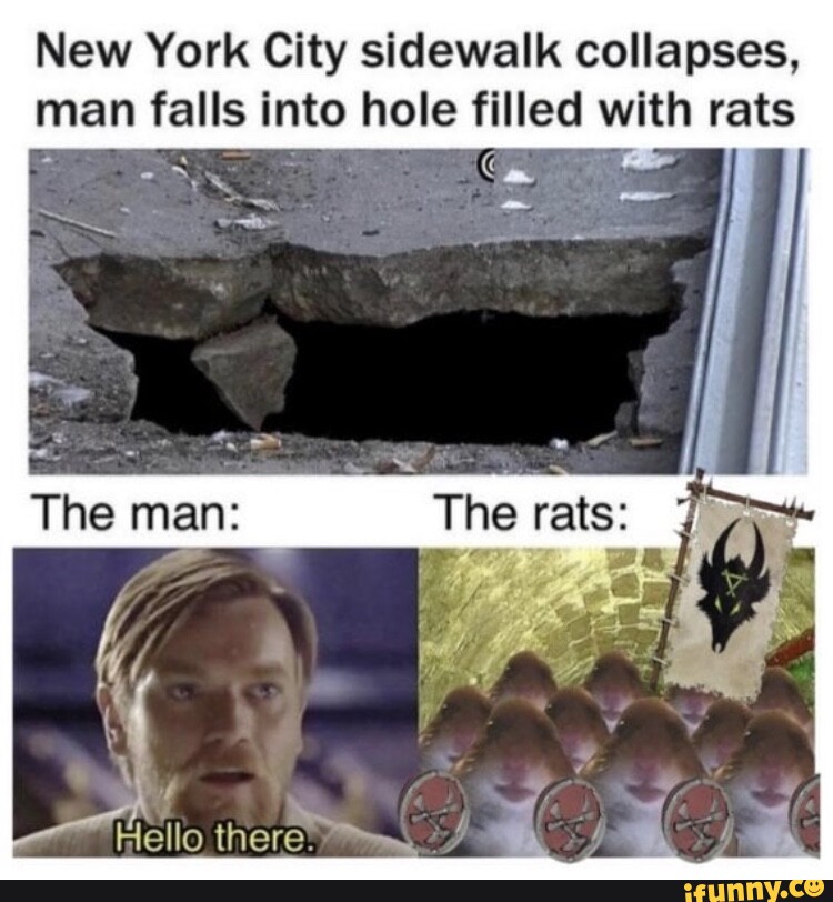 New York City sidewalk collapses, man falls into hole filled with rats ...