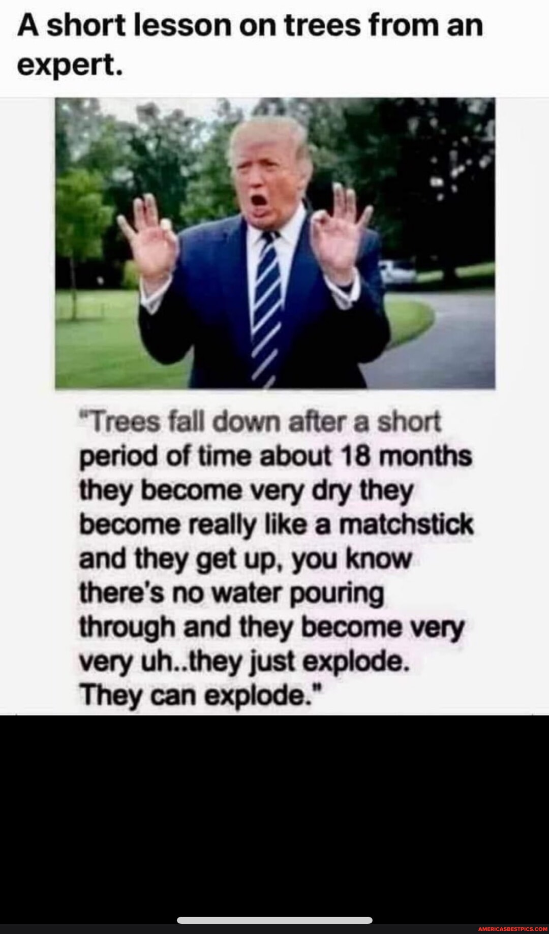 Nature memes memes. The best memes on America’s best pics and videos