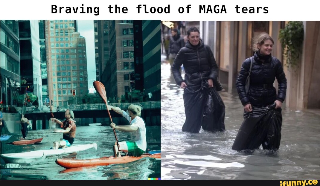 Braving the flood of MAGA tears - iFunny