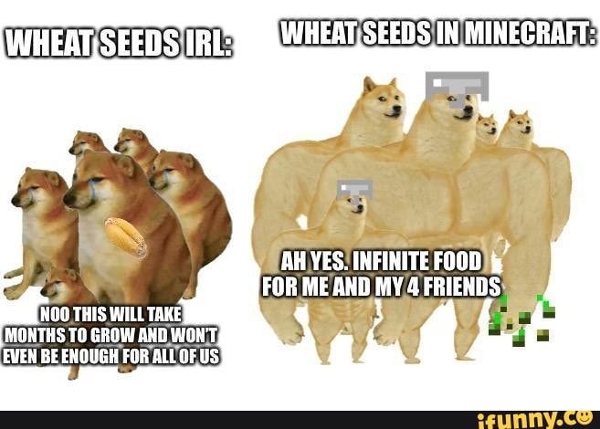WHEAT,SEEDS IRL: AH YES. INFINITE FOOD FOR ME AND wa FRIENDS NOO THIS ...