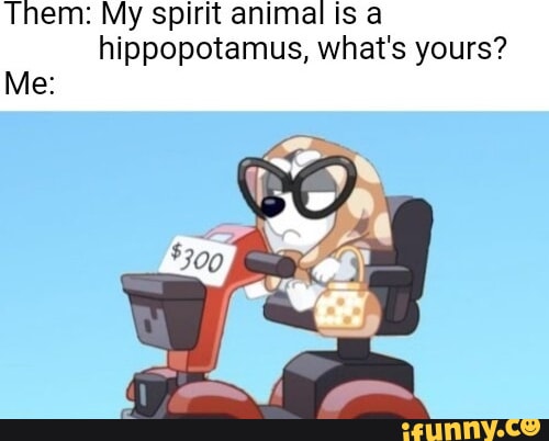 Hippopotamus memes. Best Collection of funny Hippopotamus pictures on ...