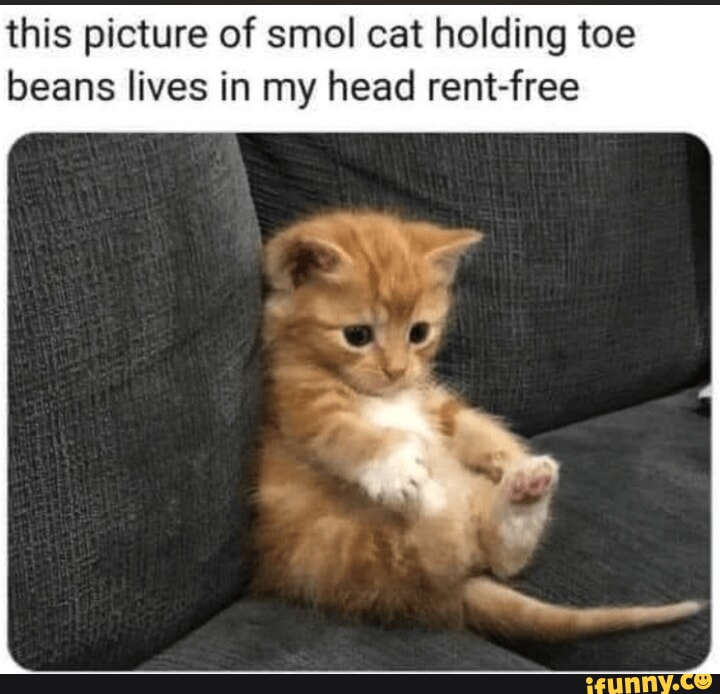 Smol memes. Best Collection of funny Smol pictures on iFunny
