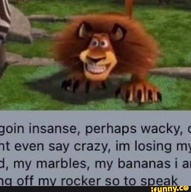 Insanse, perhaps wacky, " even say crazy, im losing mn\ my marbles, my ...