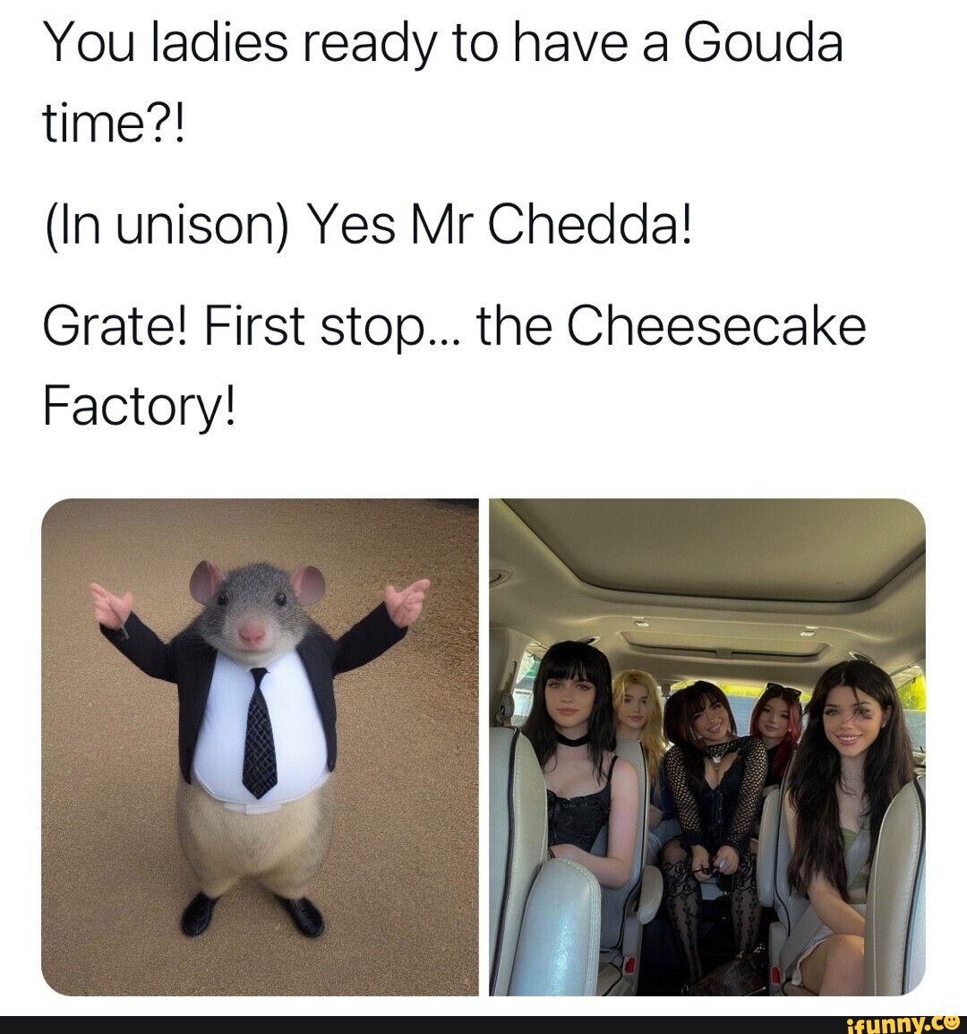 You ladies ready to have a Gouda time?! (In unison) Yes Mr Chedda ...