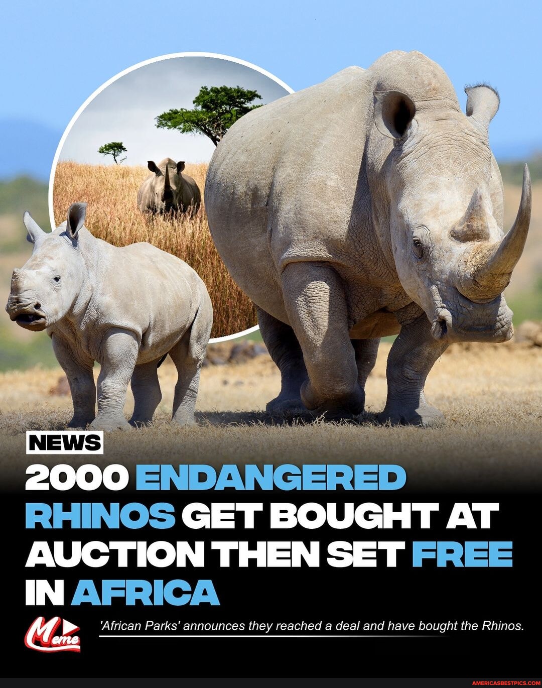 Follow (us) @MEME.IG for more wholesome content ️ South African ...