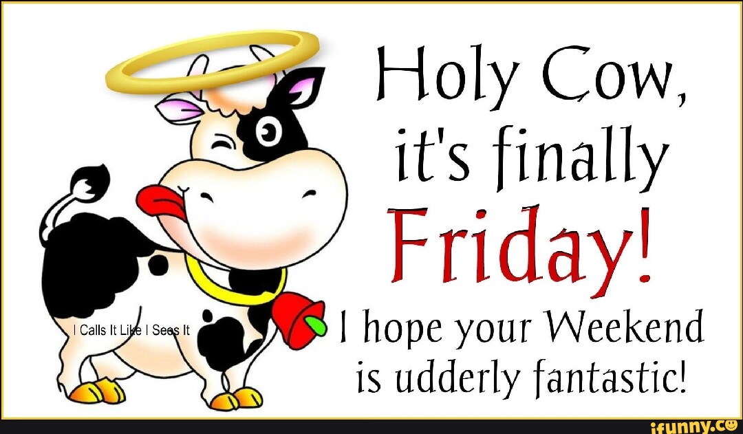 Finally Friday Funny