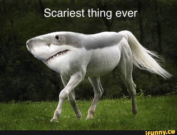 Scariest thing ever - iFunny