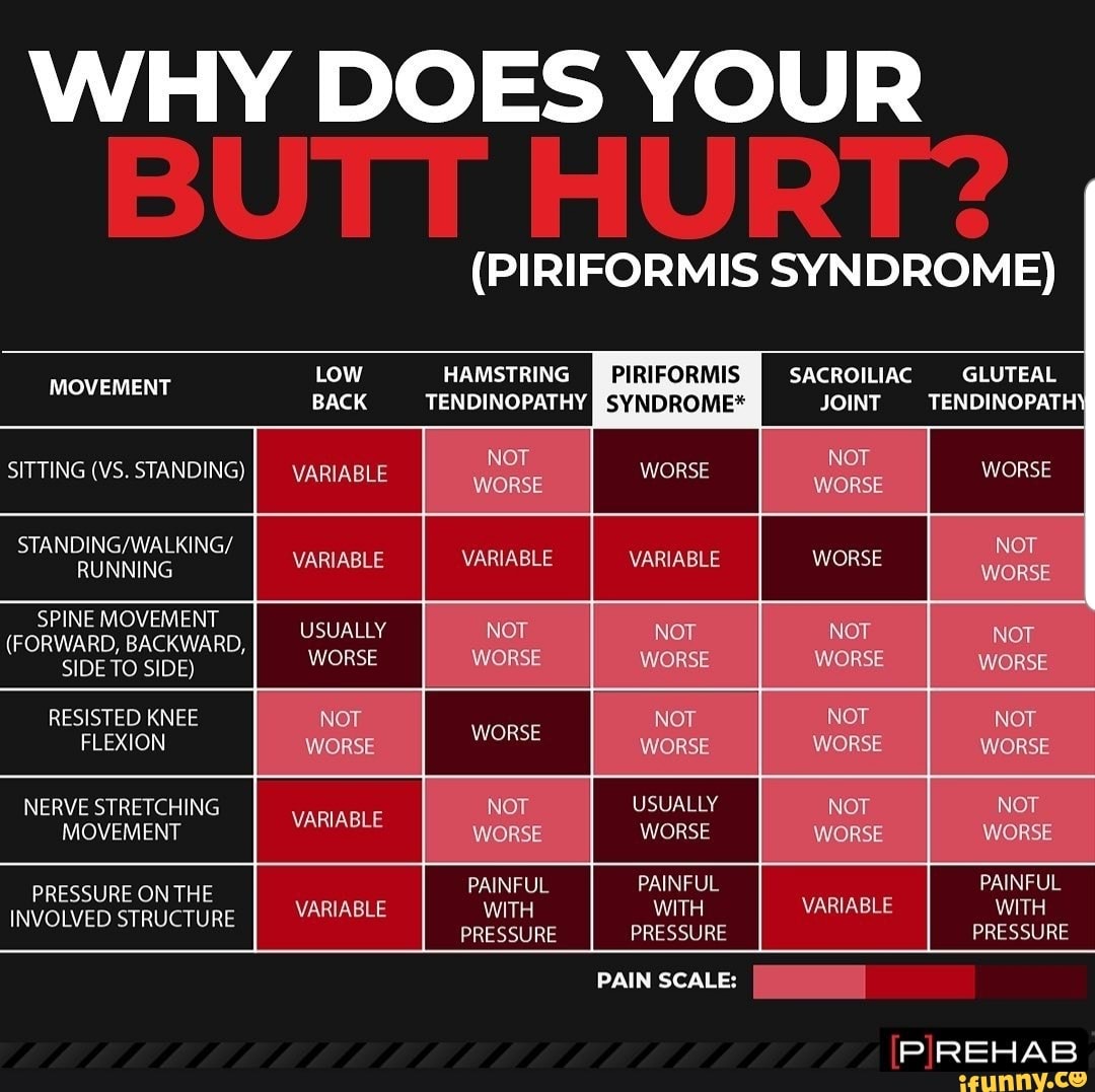 DOES LU) (PIRIFORMIS SYNDROME) MOVEMENT Low HAMSTRING I PIRIFORMIS I ...