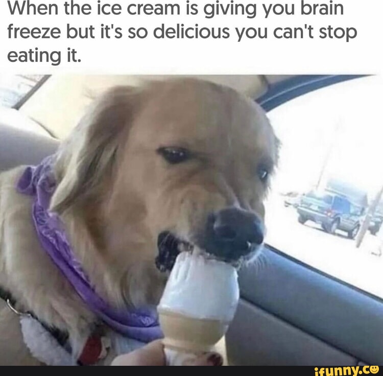 When the Ice cream Is giving you brain freeze but it's so delicious you ...
