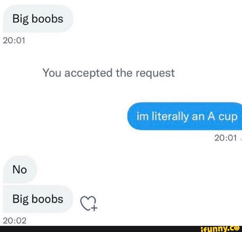 Big Boobs You Accepted The Request No Big Boobs Ifunny