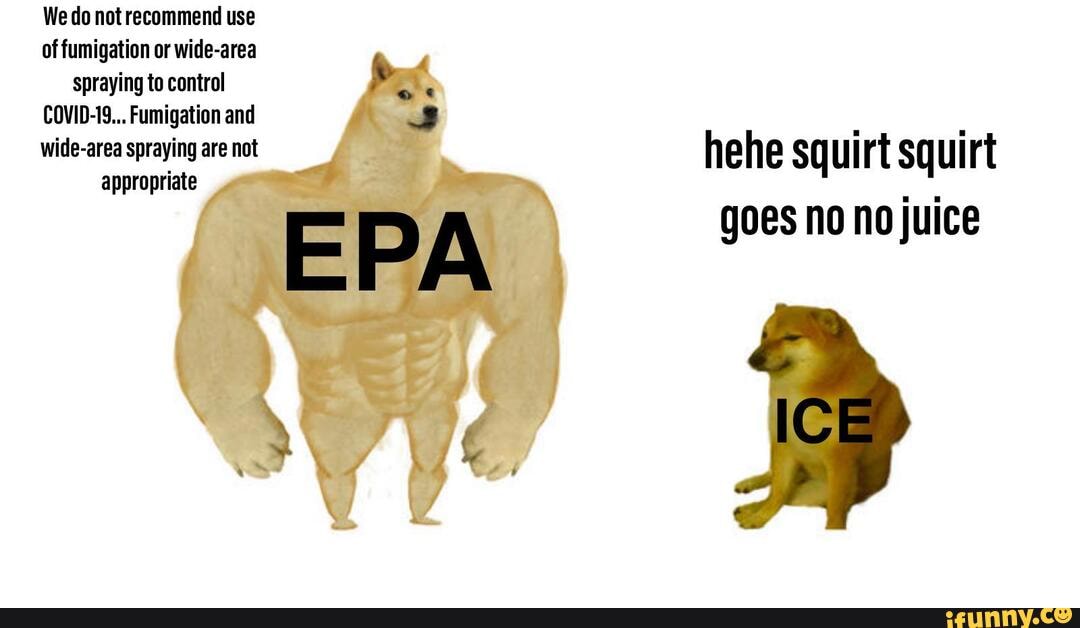 Fumigation memes. Best Collection of funny Fumigation pictures on iFunny