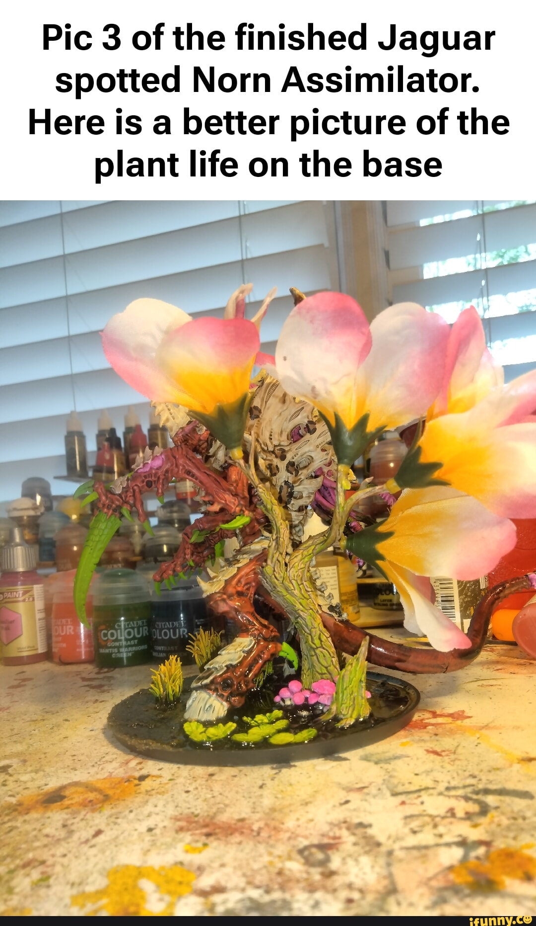 Pic 3 of the finished Jaguar spotted Norm Assimilator. Here is a better ...