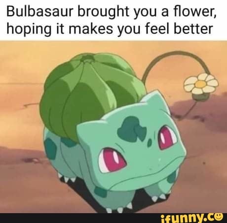 Bulbasaur memes. Best Collection of funny Bulbasaur pictures on iFunny