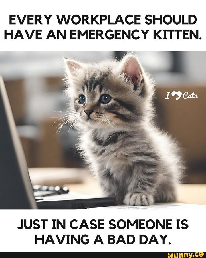 Cots memes. Best Collection of funny Cots pictures on iFunny