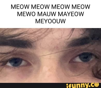 Mauw memes. Best Collection of funny Mauw pictures on iFunny