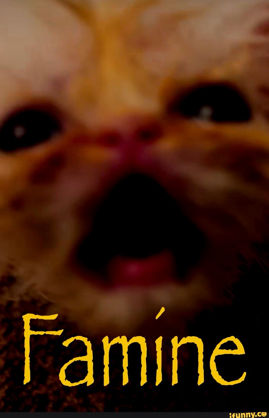 Famine memes. Best Collection of funny Famine pictures on iFunny