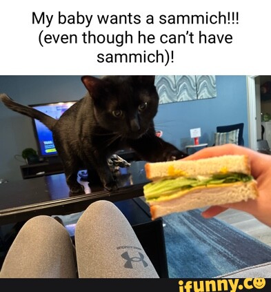 My baby wants a sammich!!! (even though he can't have sammich)! - iFunny