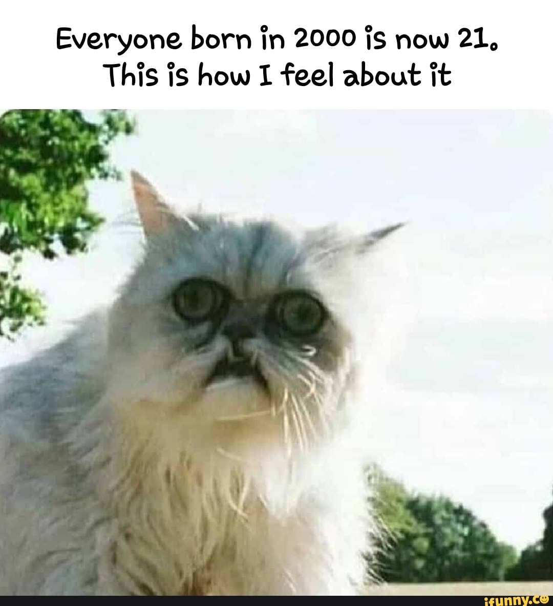 Everyone born in 2000 js now 21, This is how I feel about it - iFunny