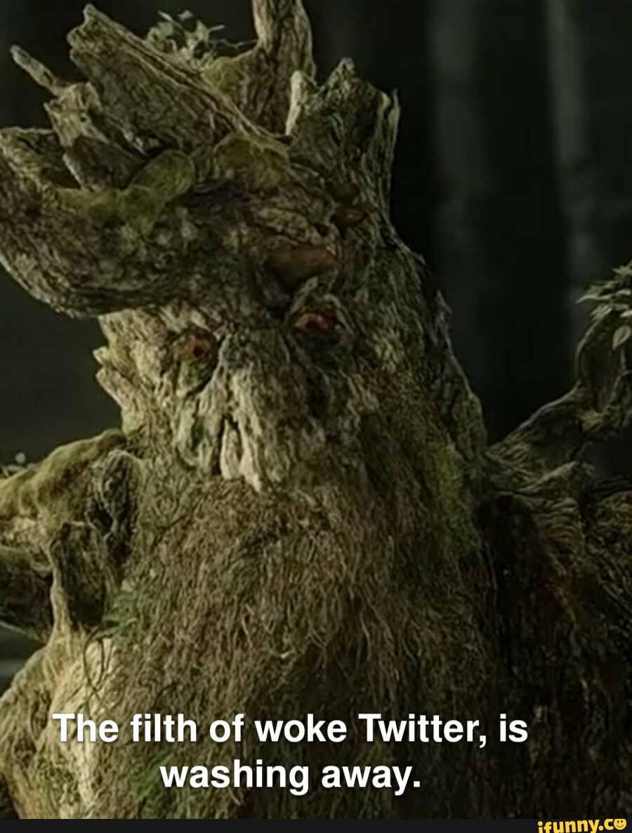 The filth of woke Twitter, is washing away. - iFunny