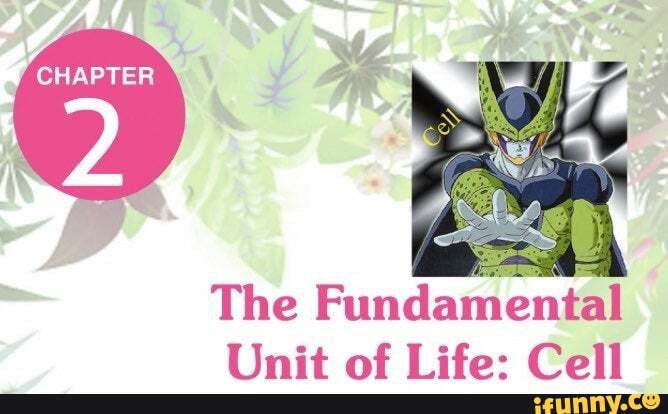 Iinit memes. Best Collection of funny Iinit pictures on iFunny