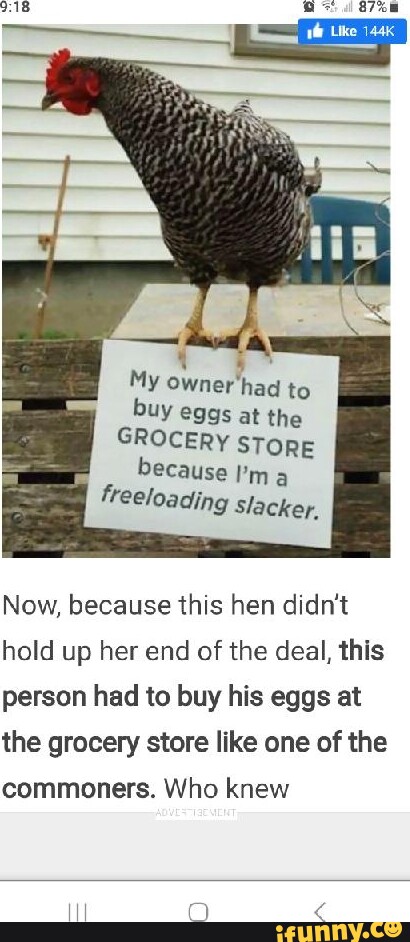 Freeloading memes. Best Collection of funny Freeloading pictures on iFunny