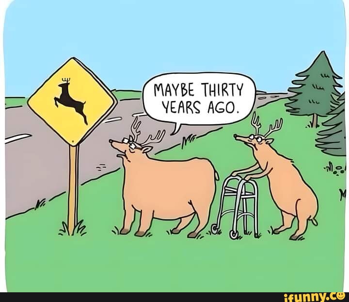 The Chad European hunter-gatherer cro magnon brow ridge The virgin ...