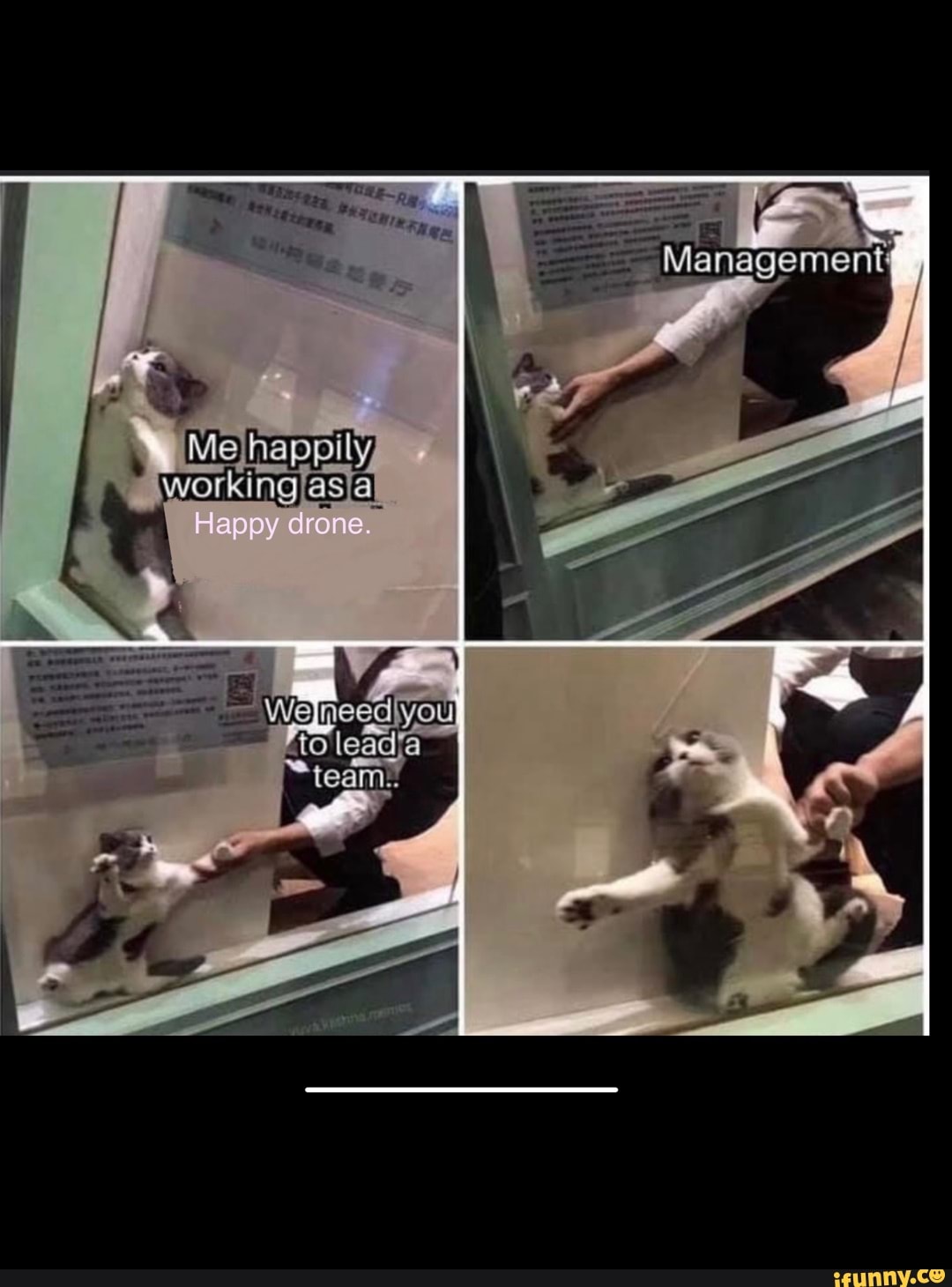 Management Happy drane. - iFunny