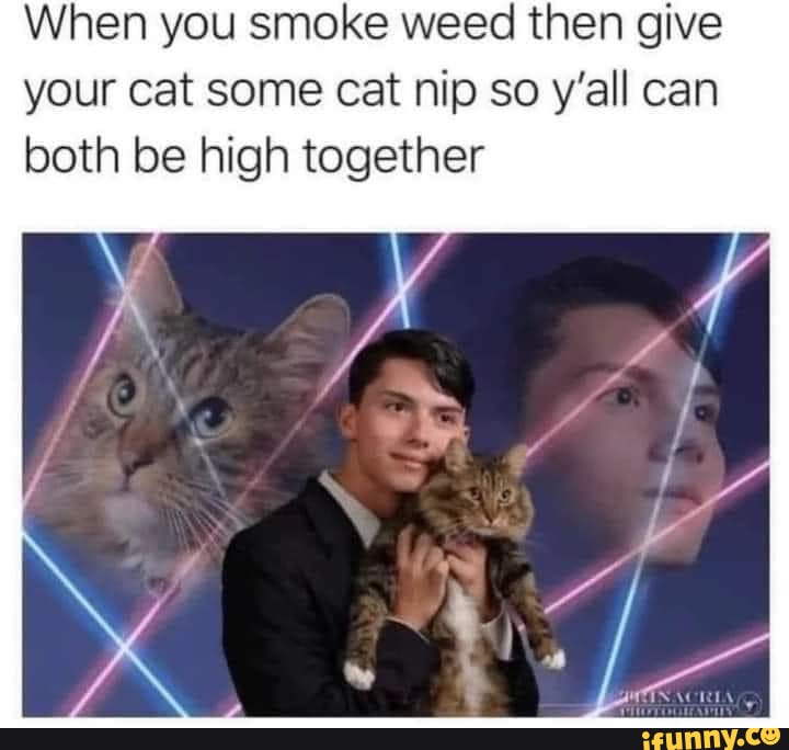 Nip memes. Best Collection of funny Nip pictures on iFunny