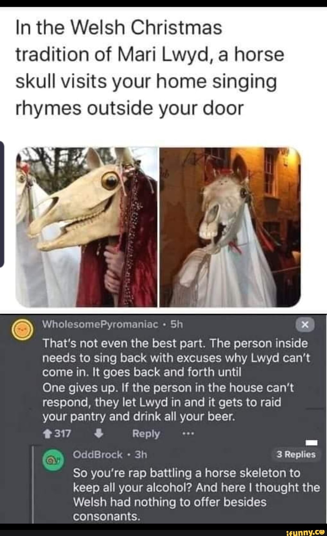 In the Welsh Christmas tradition of Mari Lwyd, a horse skull visits ...