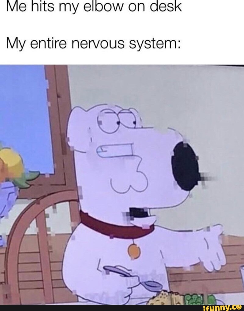 Nits memes. Best Collection of funny Nits pictures on iFunny