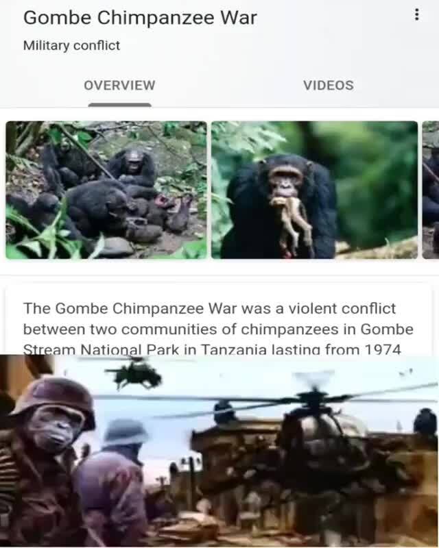 Gombe Chimpanzee War Military conflict OVERVIEW VIDEOS The Gombe ...