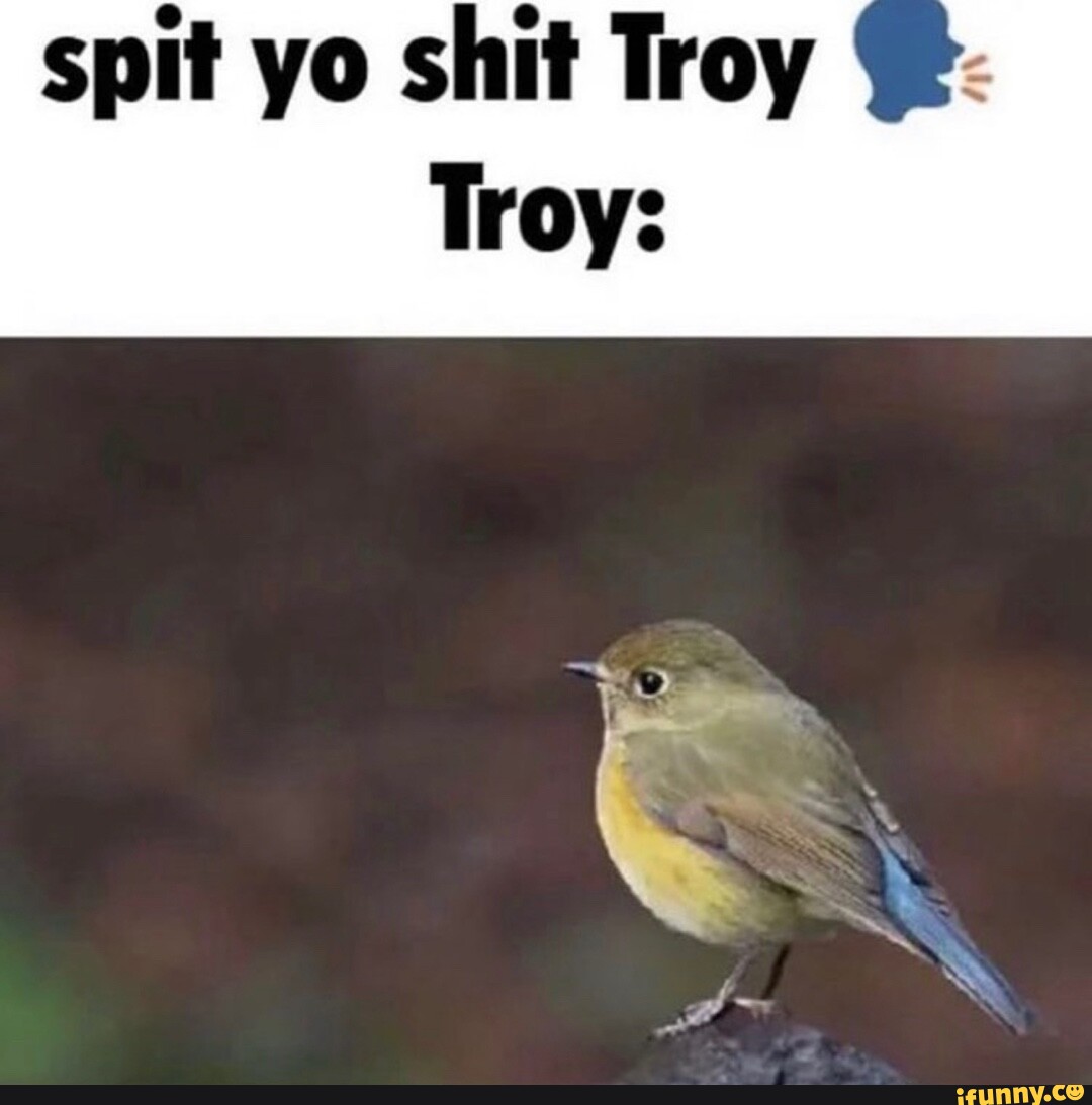 Spit yo shit Troy Troy: - iFunny