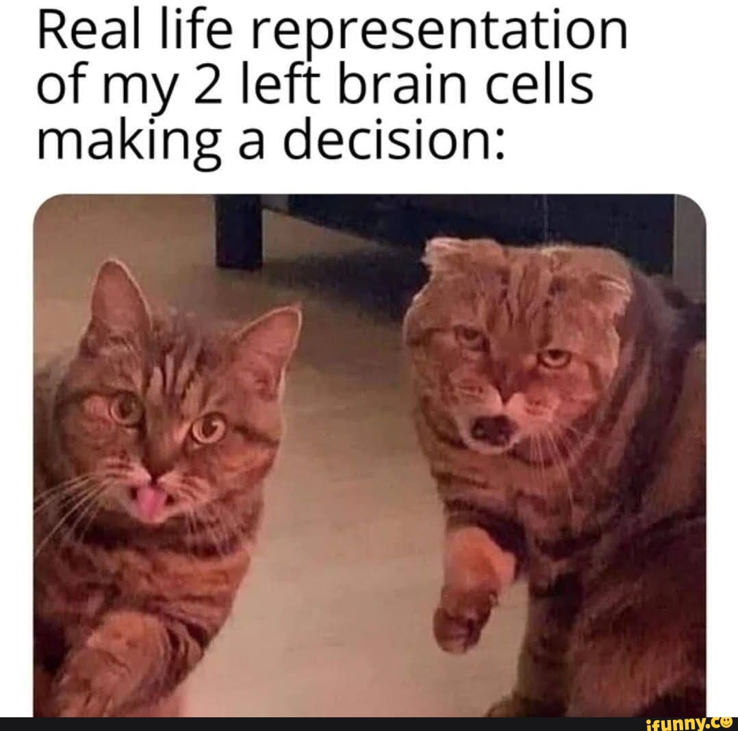 Real life representation of my 2 left brain cells making a decision ...