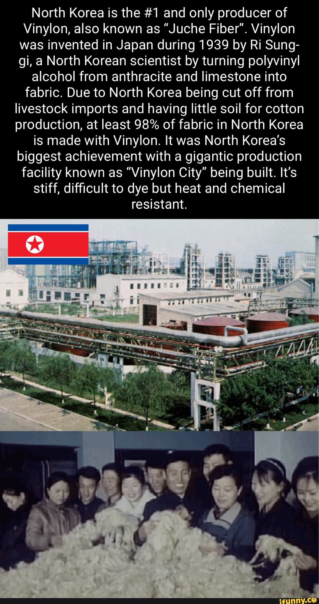 Vinylon memes. Best Collection of funny Vinylon pictures on iFunny