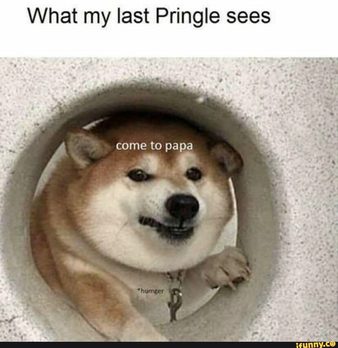 Pringle memes. Best Collection of funny Pringle pictures on iFunny