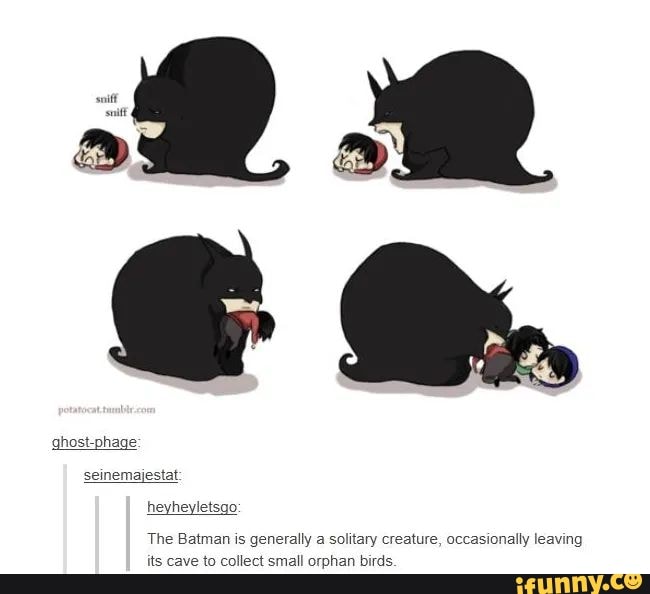 Batman memes. Best Collection of funny Batman pictures on iFunny