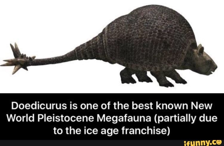 Doedicurus is one of the best known New World Pleistocene Megafauna ...