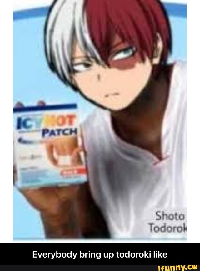 Todorki memes. Best Collection of funny Todorki pictures on iFunny