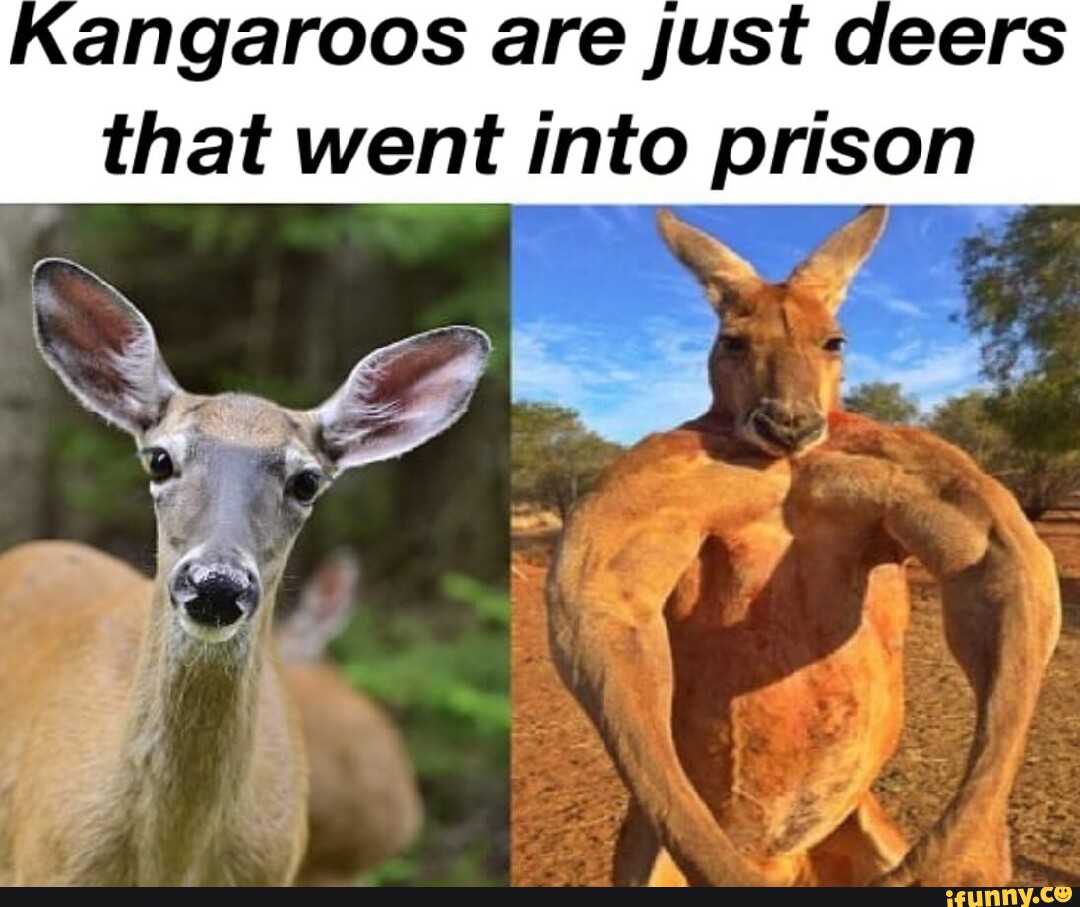 Deers memes. Best Collection of funny Deers pictures on iFunny