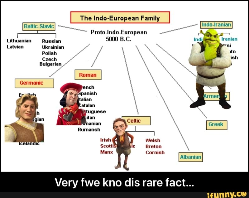 The Indo-European Family Indo-Iranian Proto-Indo-European 5000 B.C ...